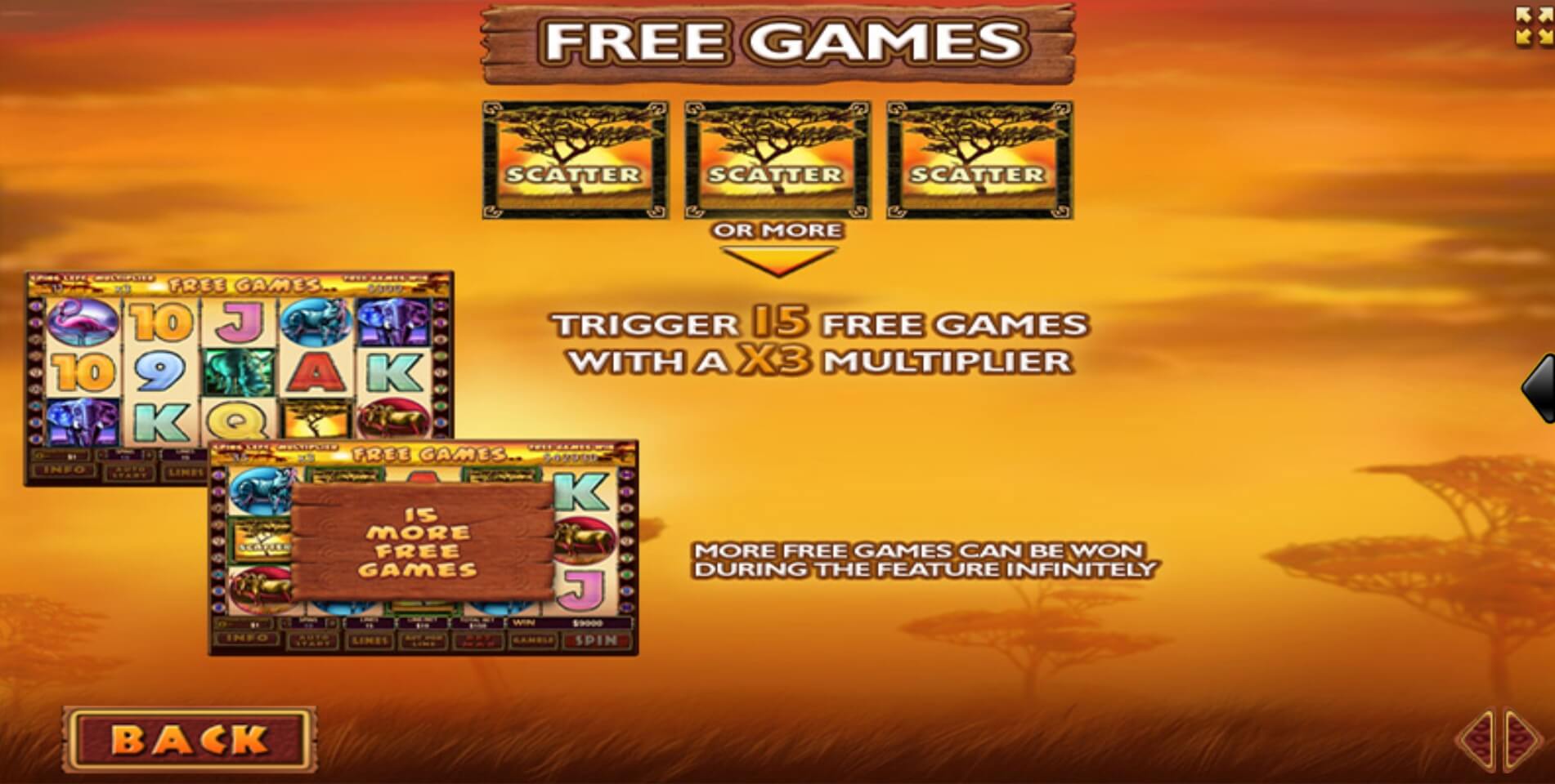 Safari Heat รีวิวเกมสล็อต เล่นเกม ซาฟารีฮีท ป่าโบนัส