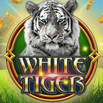 White Tiger รีวิวเกมสล็อต ป่าเสือขาว เล่นเกมง่าย รวยไว แตกจริง